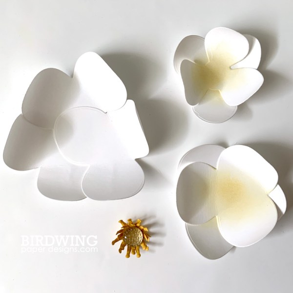DIY Paper Magnolia Flower | Birdwing Paper Designs