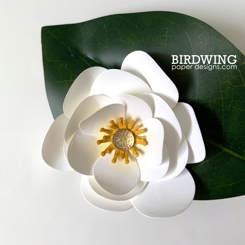 DIY Paper Magnolia Flower | Birdwing Paper Designs